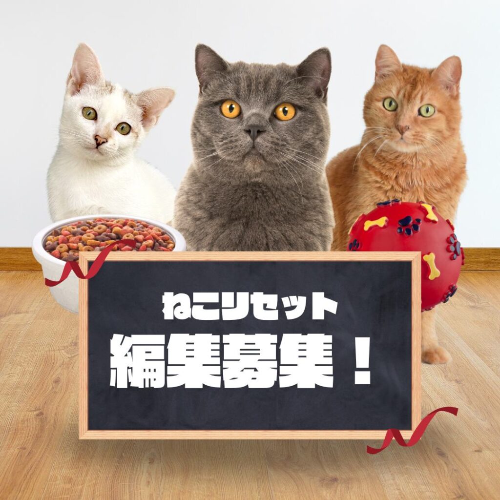 近日、編集経験者アルバイト募集します！ | Neko Reset Official Website